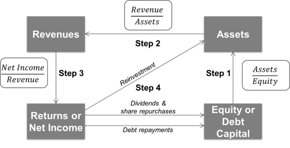 Cherng Yew's Capital Life Cycle (CYCLE) - Creditbytes Institute